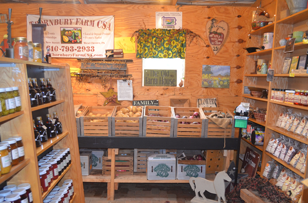 Home - Thornbury Farm Market & CSA